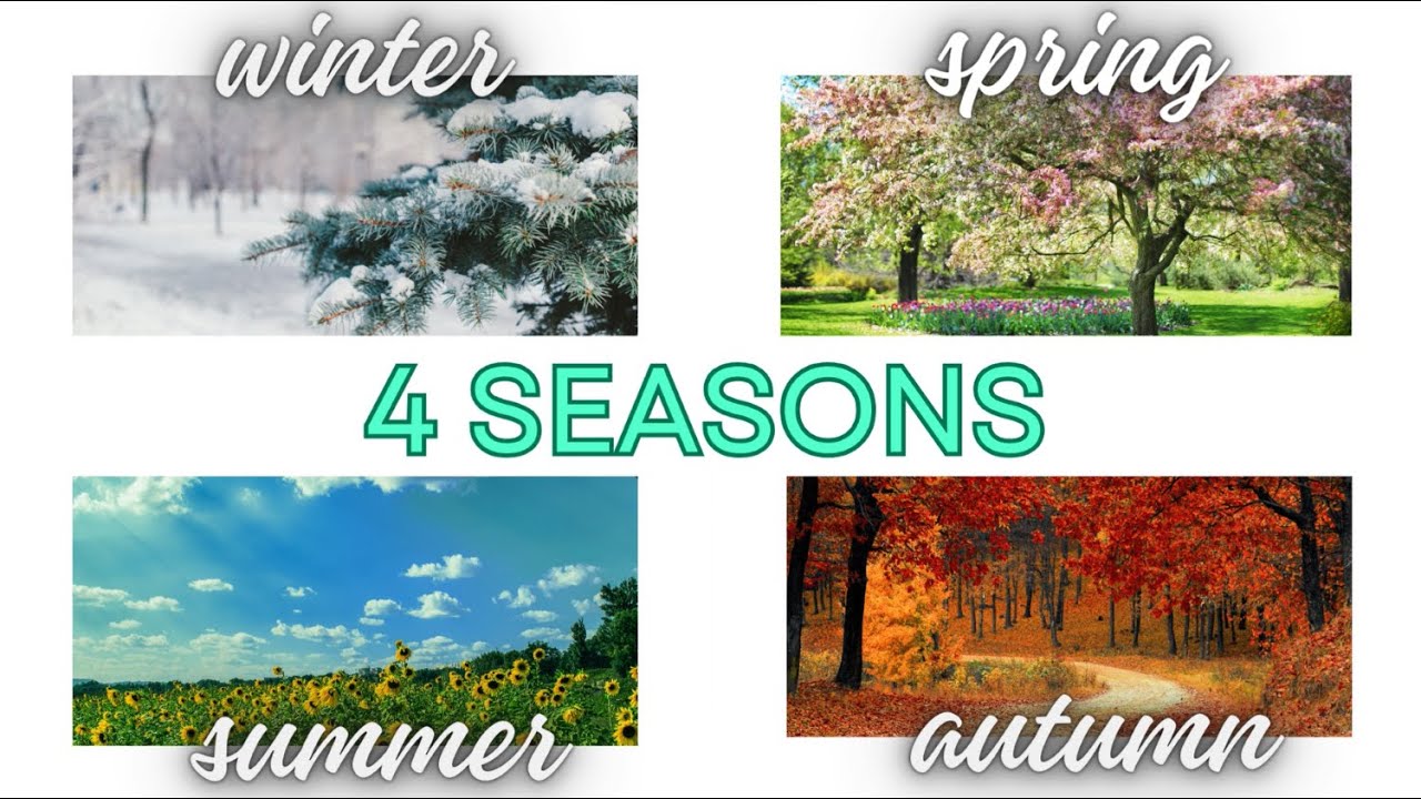 Seasons in English with Facts - YouTube
