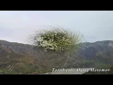 Gözəlliklər məskəni - Burovdal  2021 (5)