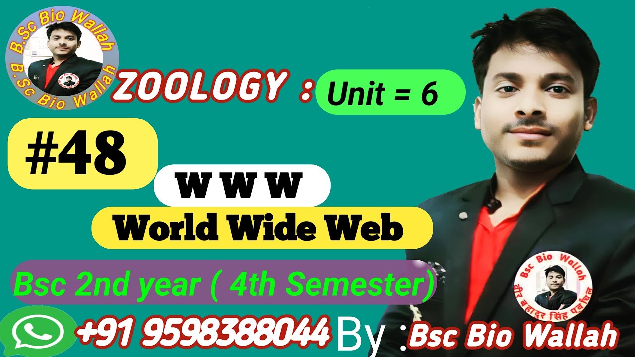 W W W // World Wide Web // #www #worldwideweb #video #bscbiowallah # ...