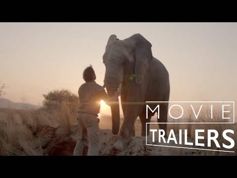 Wild Daze - Trailer - Movie Trailers - YouTube