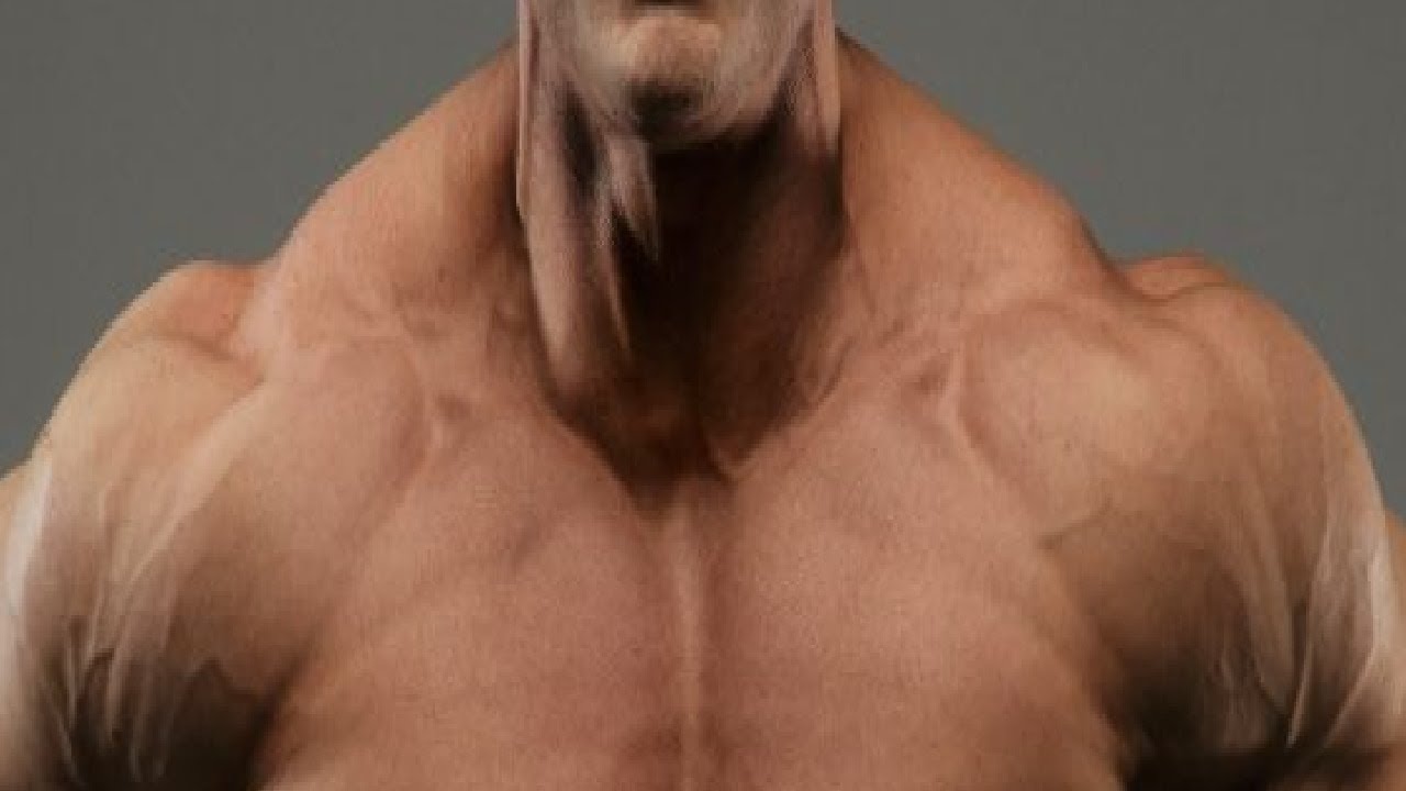 how to get a thick neck in only 1 day - YouTube
