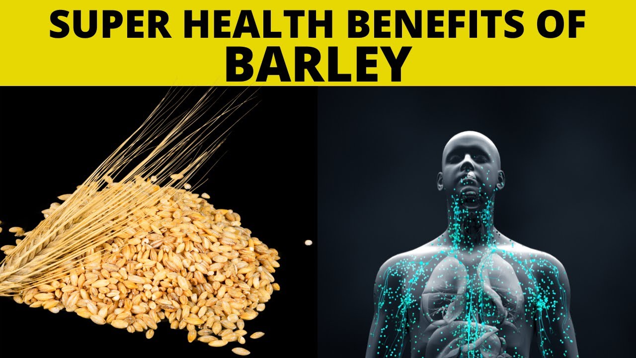 Top 10 Amazing Health Benefits of Barley - This Happens To Your Body ...