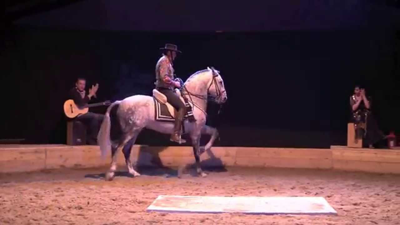 Jaleo Flamenco - YouTube