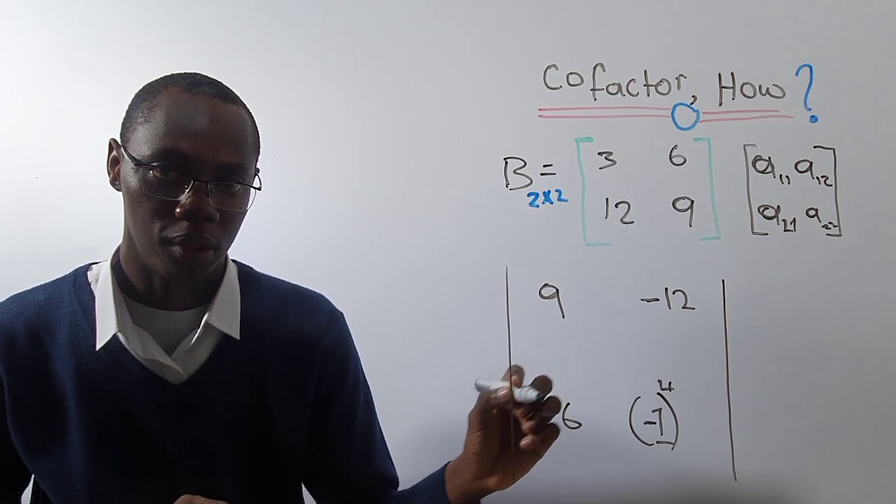 How To Find Cofactors Of matrices 2 x 2 (PART I) CBS211 - YouTube