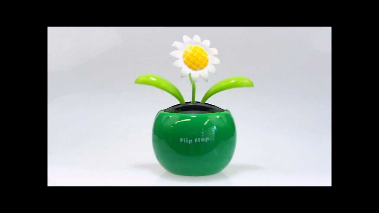 Solar Dancing Sunflower - YouTube