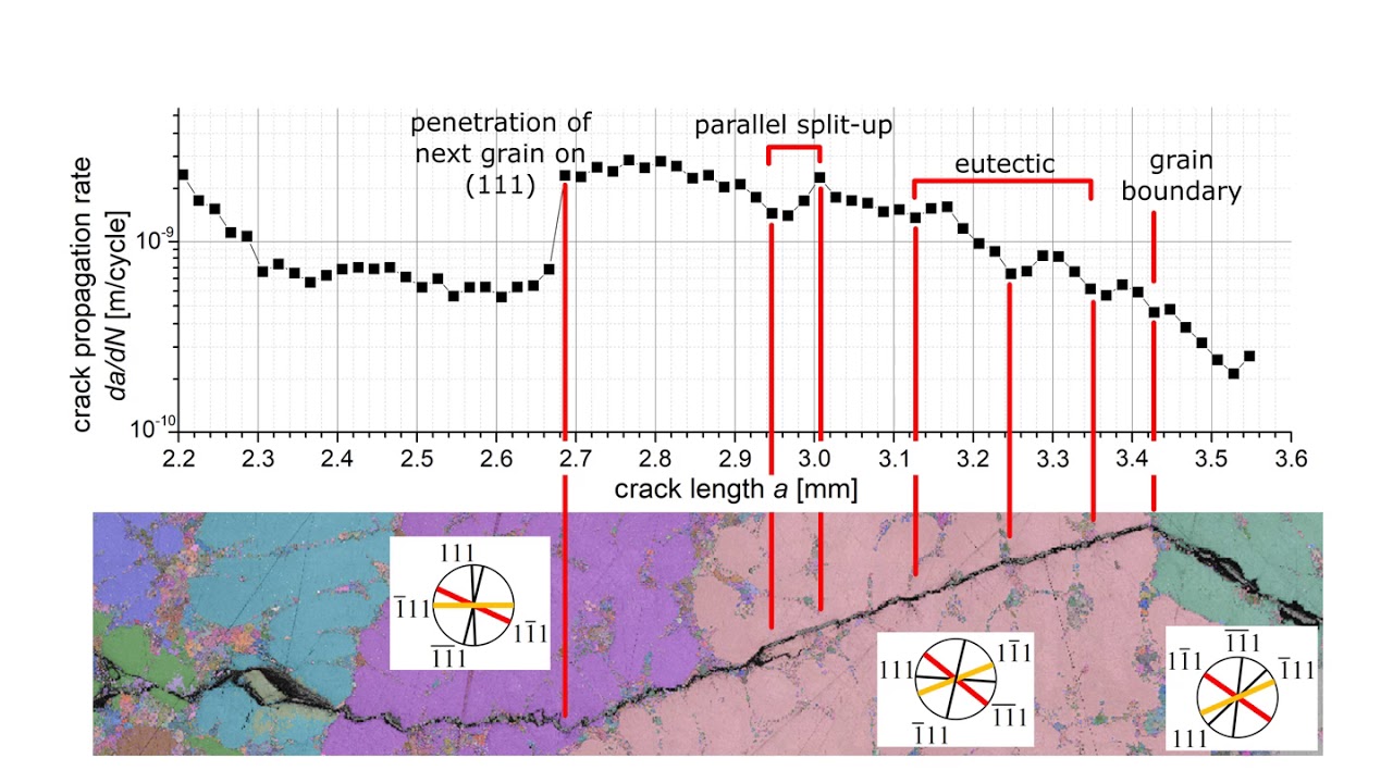 Influence of secondary dendrite arm spacing (SDAS) on the fatigue ...