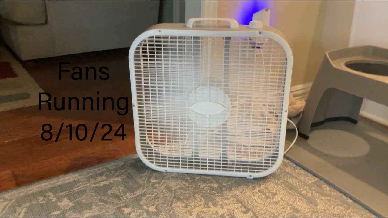 Fans Running 8/10/24 - YouTube