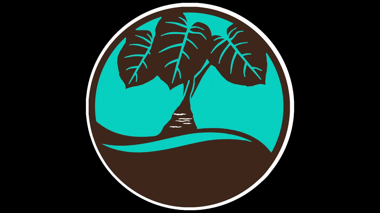 Hakipu‘u Academy Intro - YouTube