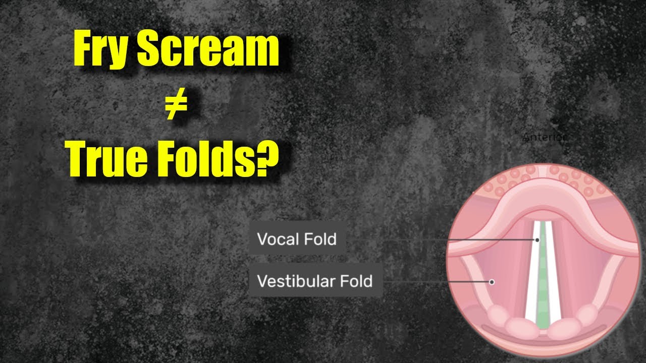 Are Fry Screams Produced by the True Folds? - YouTube