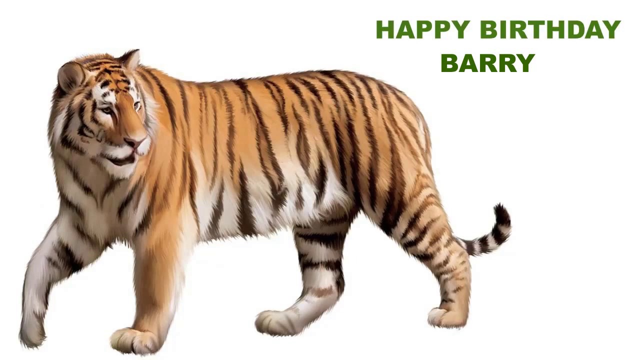 Barry Animals & Animales - Happy Birthday - YouTube