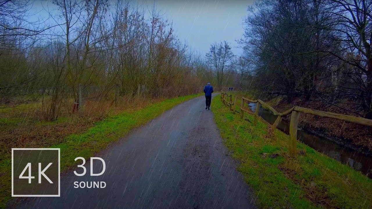 Walking in the Rain ☔ Relaxing Rain Walk ☔ 4K 3D Binaural Audio - YouTube
