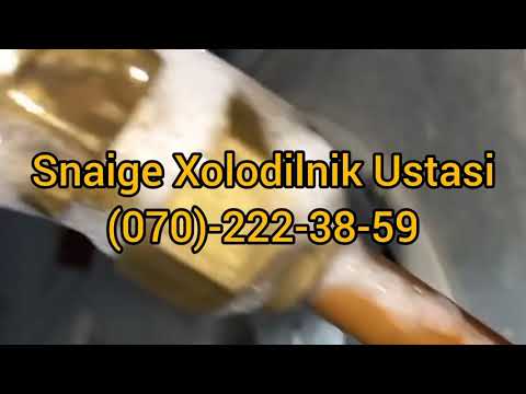 snaige xaladenik ustasi