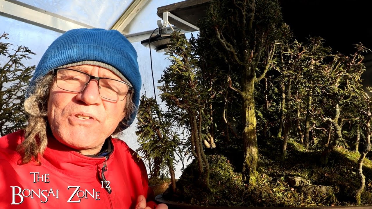 Pruning My Avatar Grove, Part 2, The Bonsai Zone, Jan 2025 - YouTube