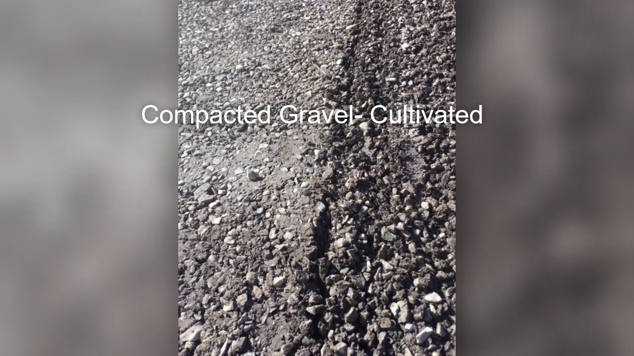 Parking area gravel maintenance, with 36in Peg Tooth Harrow & Drag ...