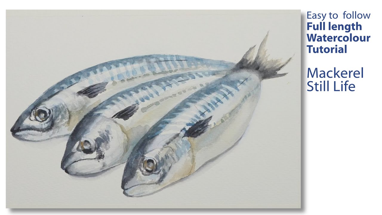 Watercolour sketch - Mackerel Still Life using just three colours ...