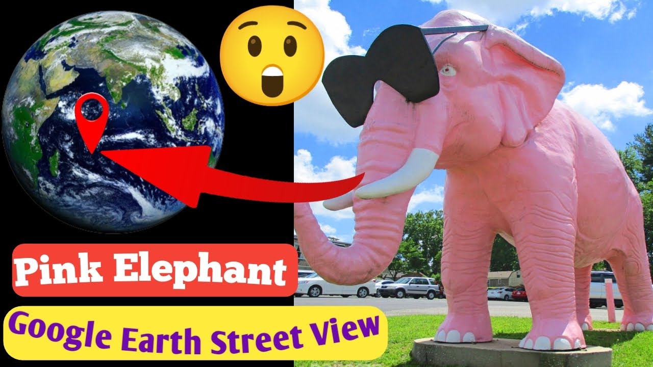 Pink Elephant Found On Google Earth 🌎 || #elephant #journeyofearth ...