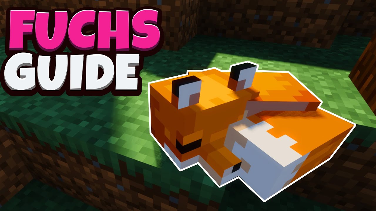 Minecraft - Fuchs zähmen und züchten | 1.16 [Deutsch / German] - YouTube