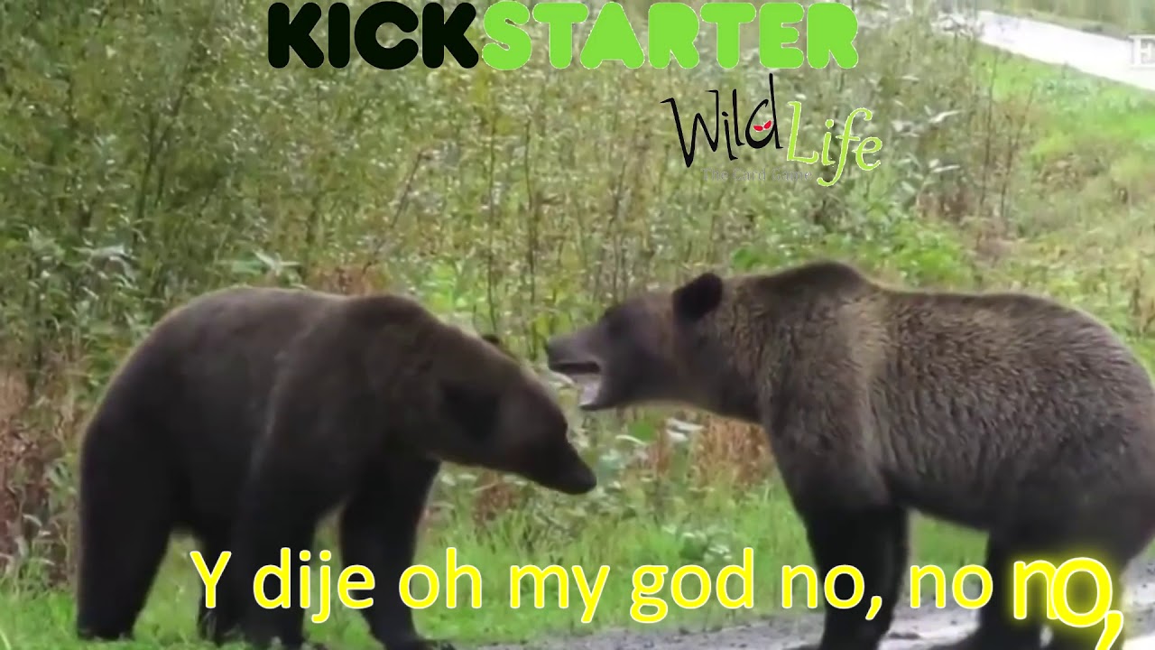 Wild life game video promocional - YouTube
