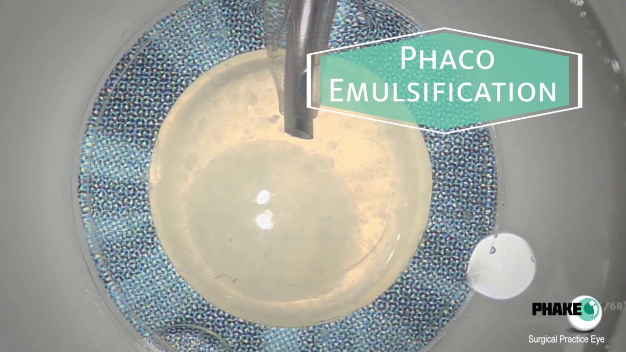 Phake-I Demonstration Video - YouTube