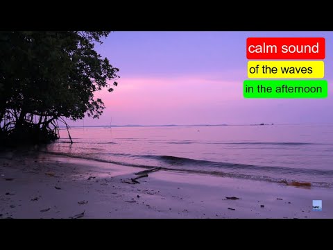calm sound of the waves in the afternoon for relaxation, study ...
