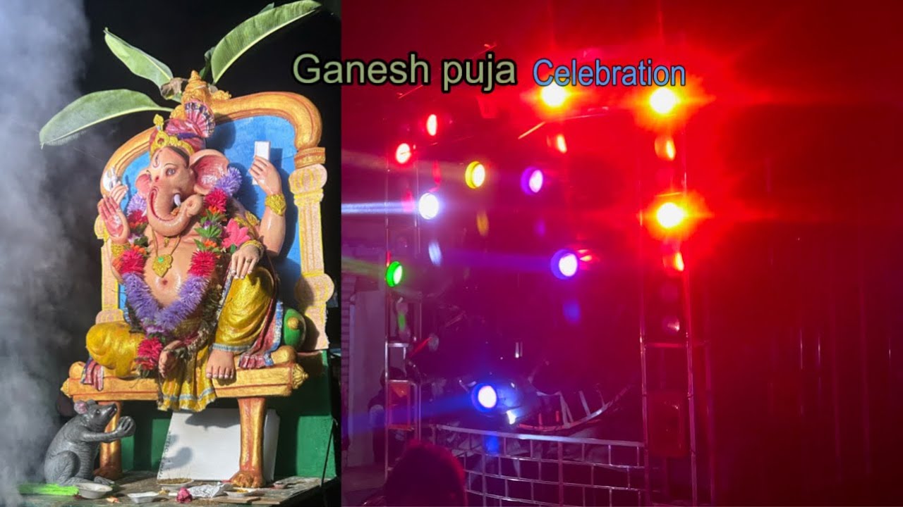 Ganesh puja Immersion in my village || Anisha Biswal - YouTube