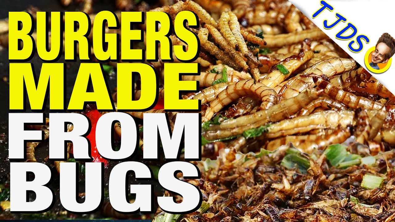 Fake Meat Industry Using Mealworms & Maggots for Burgers! - YouTube