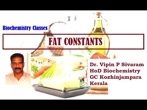 Fat Constants - YouTube