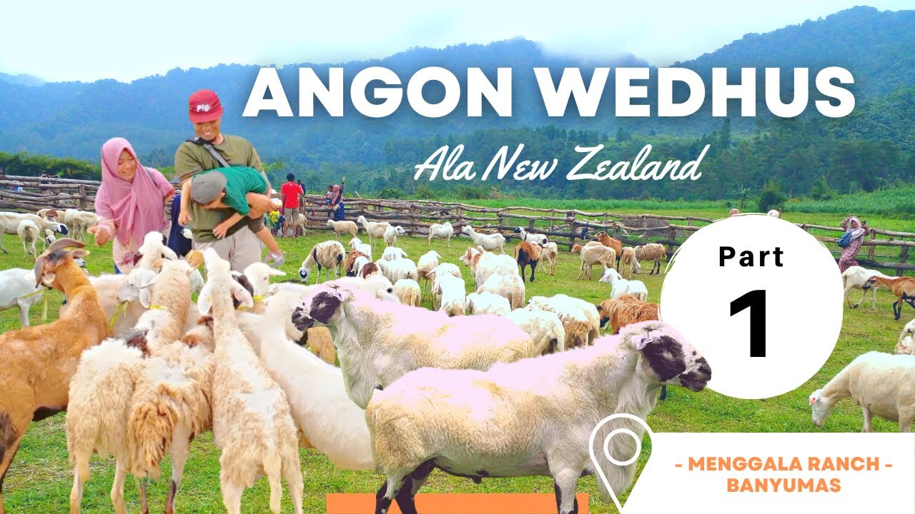 Part 1_ANGON WEDHUS ALA NEWZEALAND// MENGGALA RANCH, BANYUMAS - YouTube