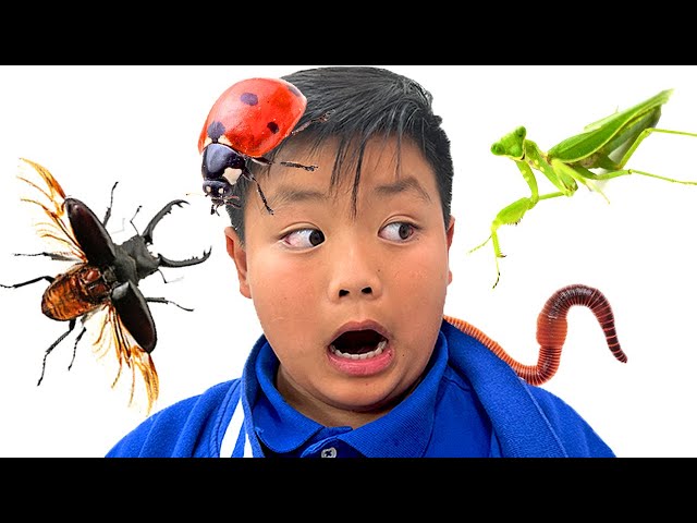 Alex and Wendy Learn about Bugs and Insects | Kids Learning How to Not ...