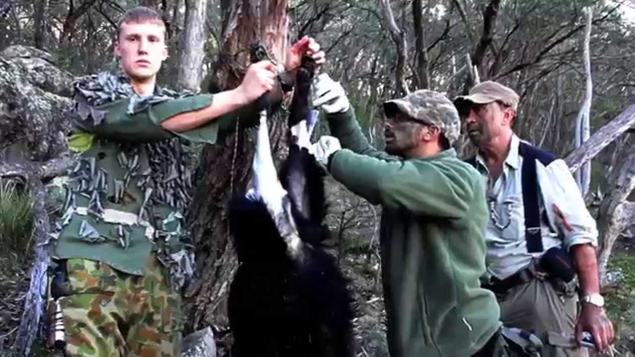 Survival Bow Hunting - YouTube