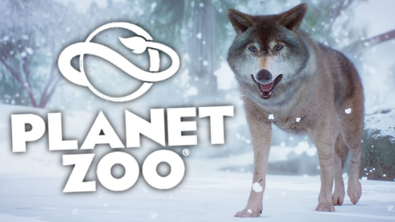 SERIGALA ROGER SUMATRA! | Planet Zoo (Bahasa Indonesia) - YouTube