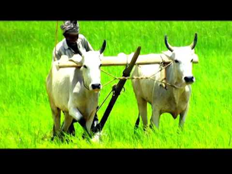 Sirai - Tamil Short Film - CINEMA DAIRY - YouTube