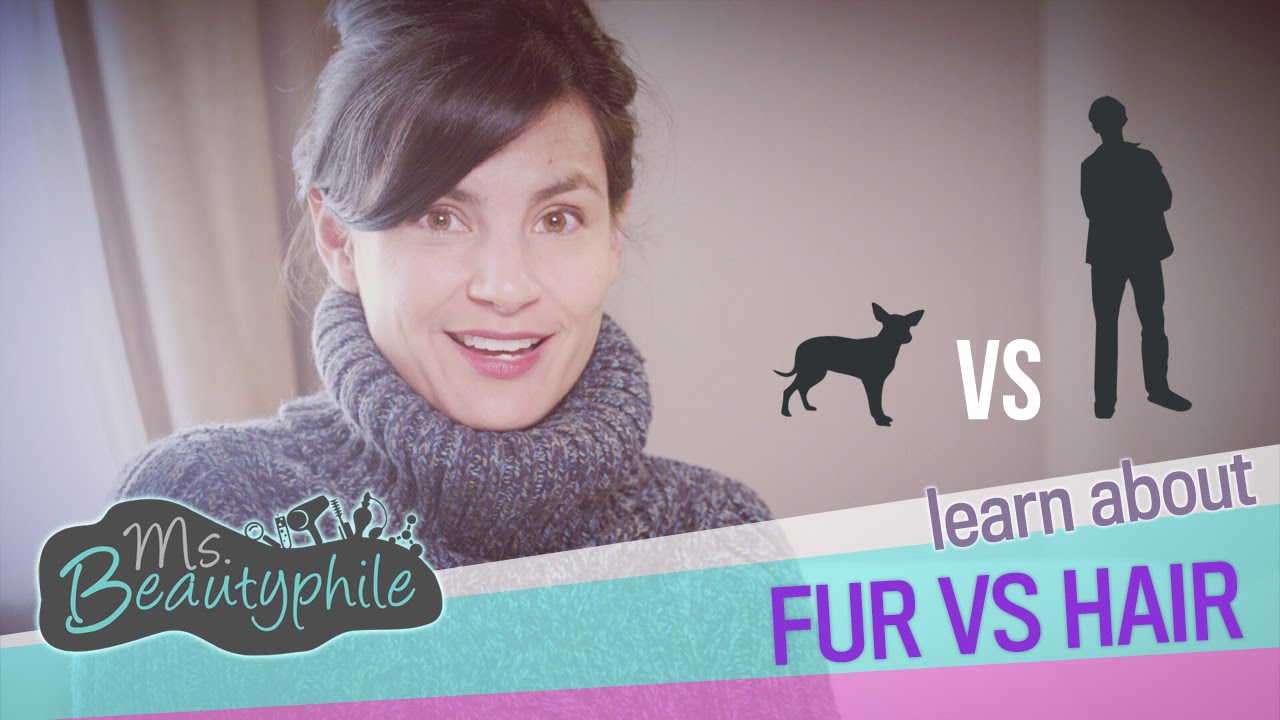 Hair VS Fur? Who wins? - YouTube