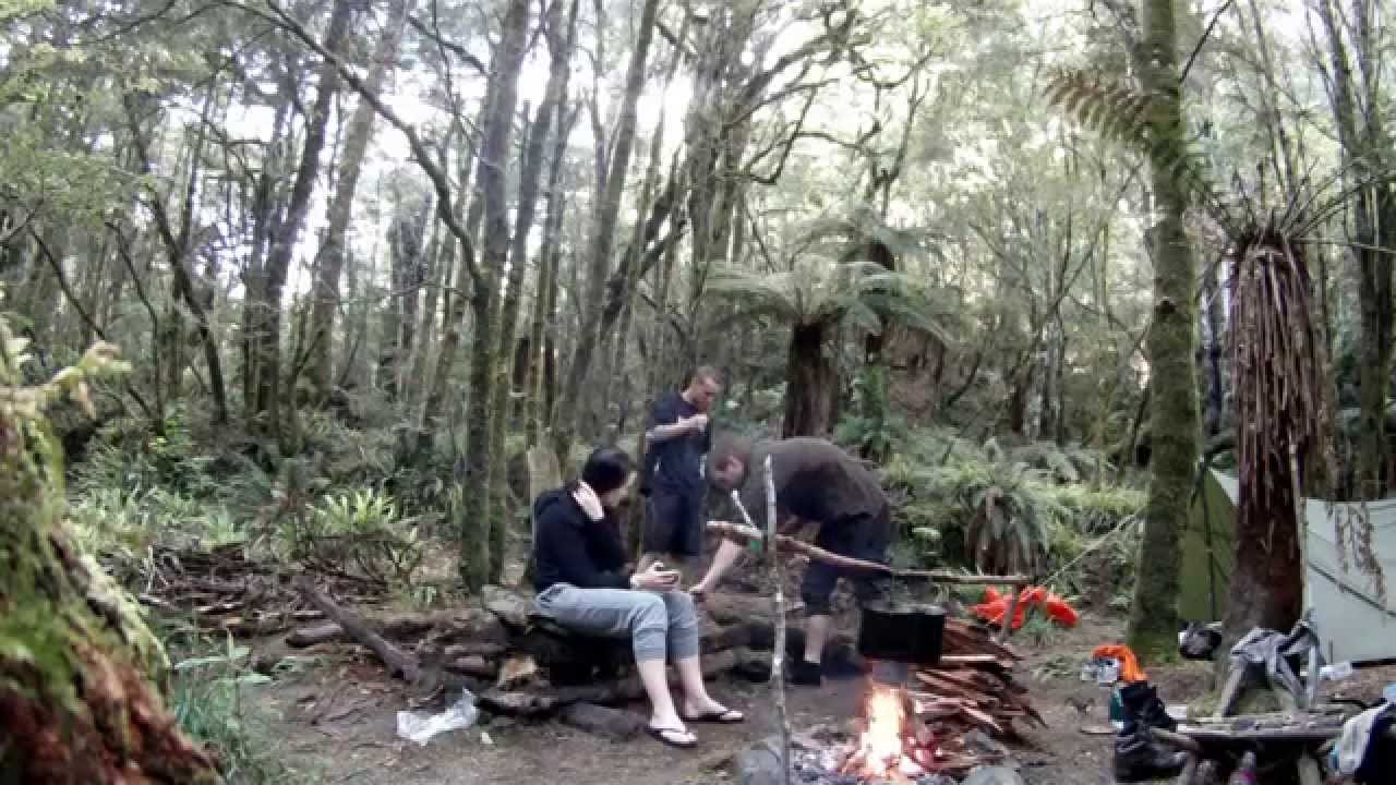 Pureora Hunting - YouTube