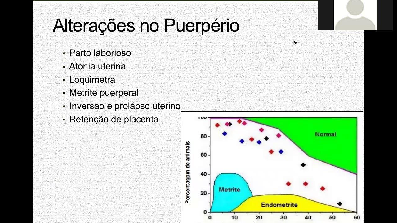 ENDOMETRITE EM VACAS PARTE 2 - YouTube