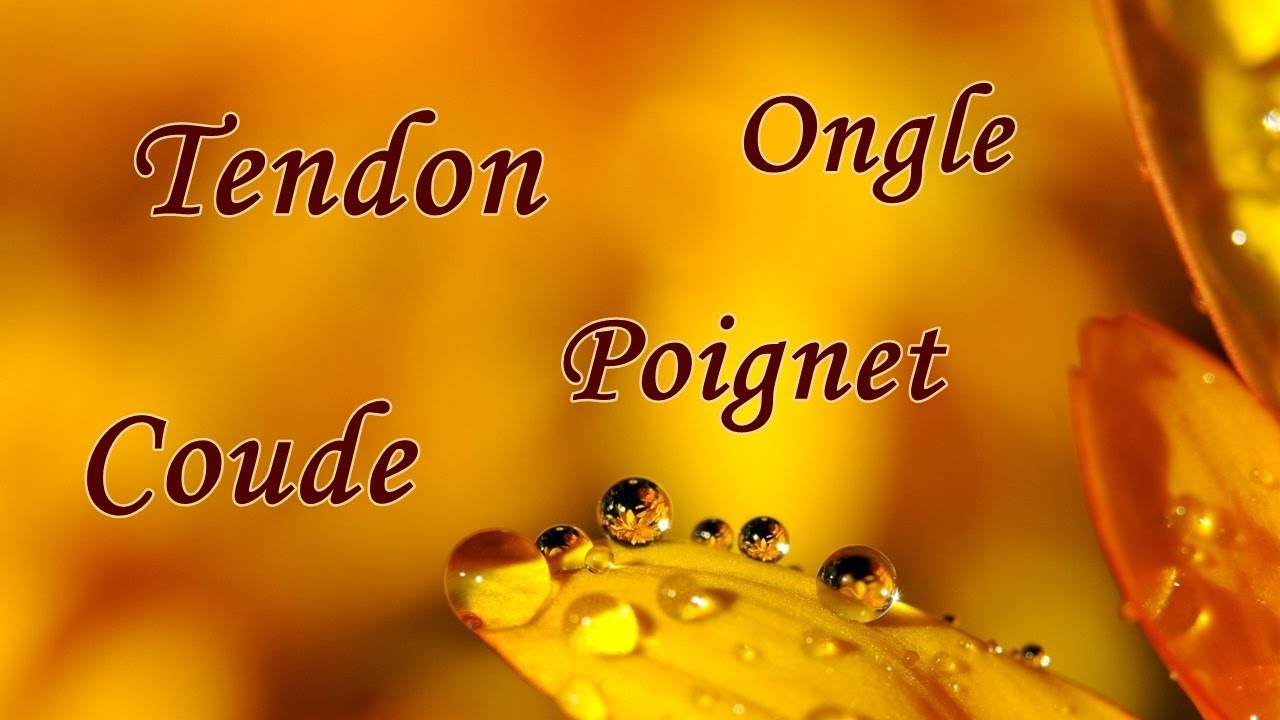 Pronounce "coude, poignet, ongle, tendon" in French - YouTube