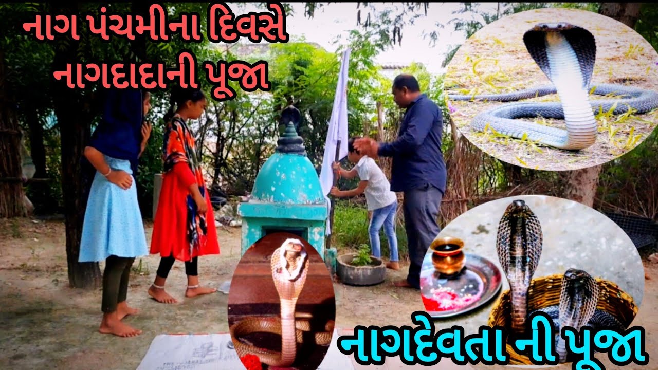 નાગ પંચમીના દિવસે નાગ દાદા ની પૂજા // Nag panchmi Nag Dada ne poochha # ...