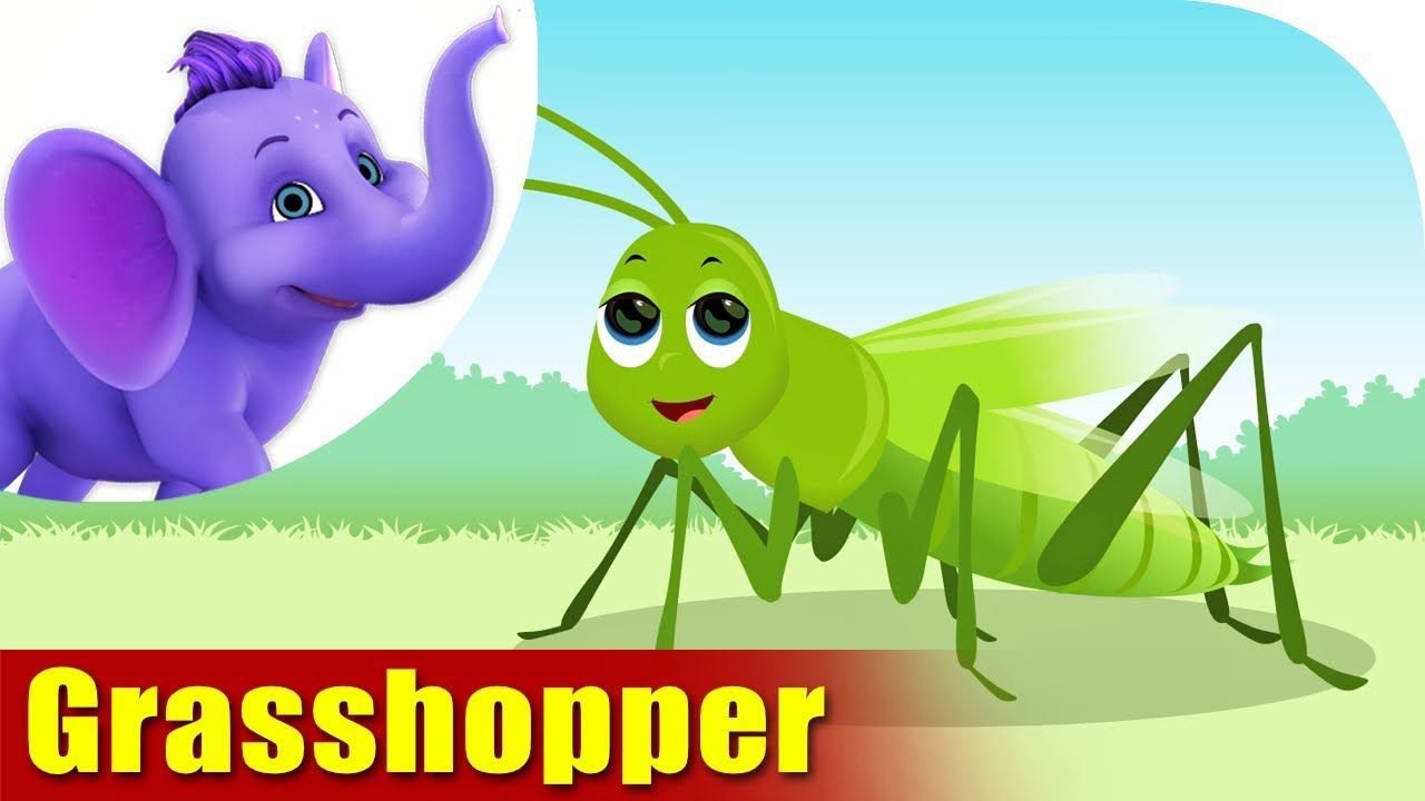 Grasshopper | A Bug Song | 4K | Appu Series - YouTube