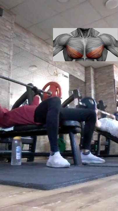 ازاي تتمرن تمرين بار صدر سفلي Training Gym Motivation Youtube