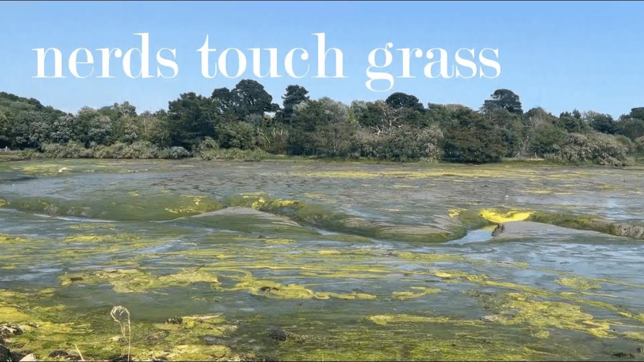 nerds touch grass - YouTube