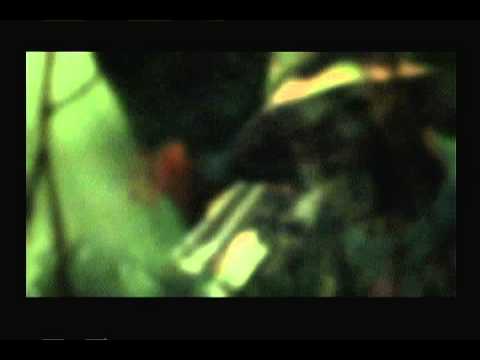 Socom U S Navy Seals gameplay ps2 - YouTube