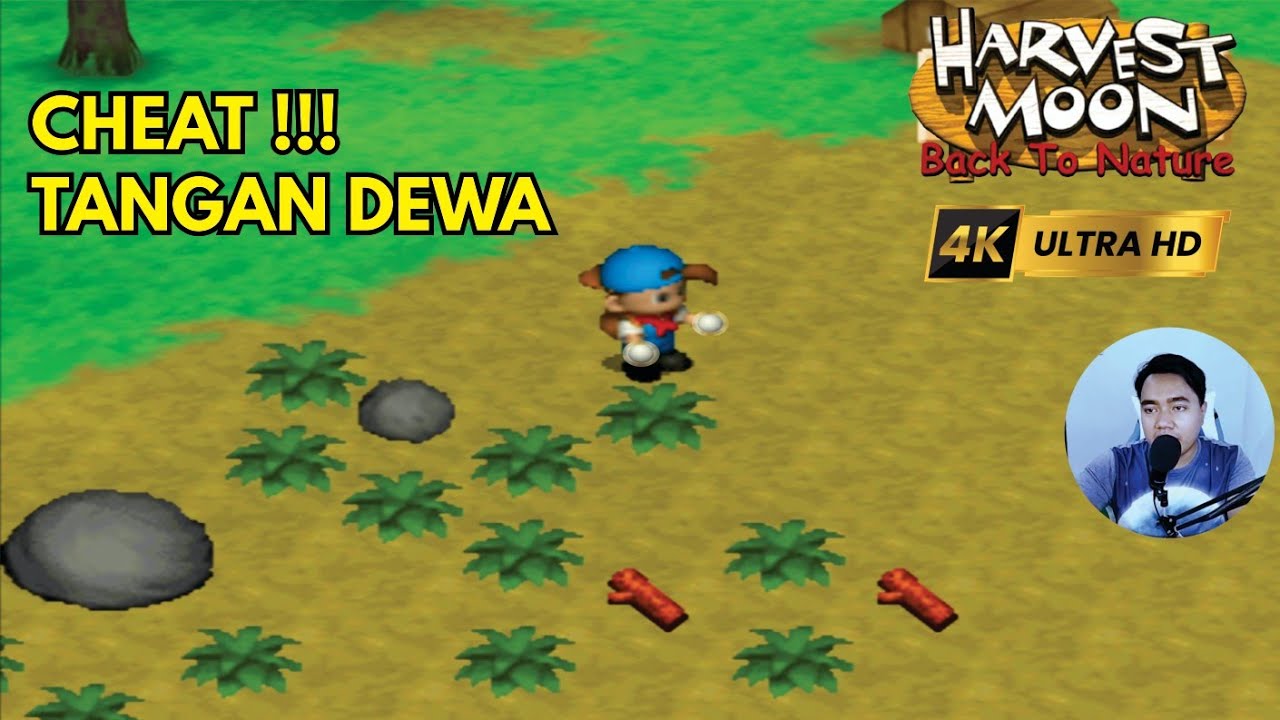CHEAT HARVEST MOON TANGAN DEWA - YouTube