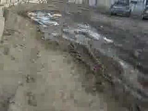 cop falcon ramadi iraq - YouTube