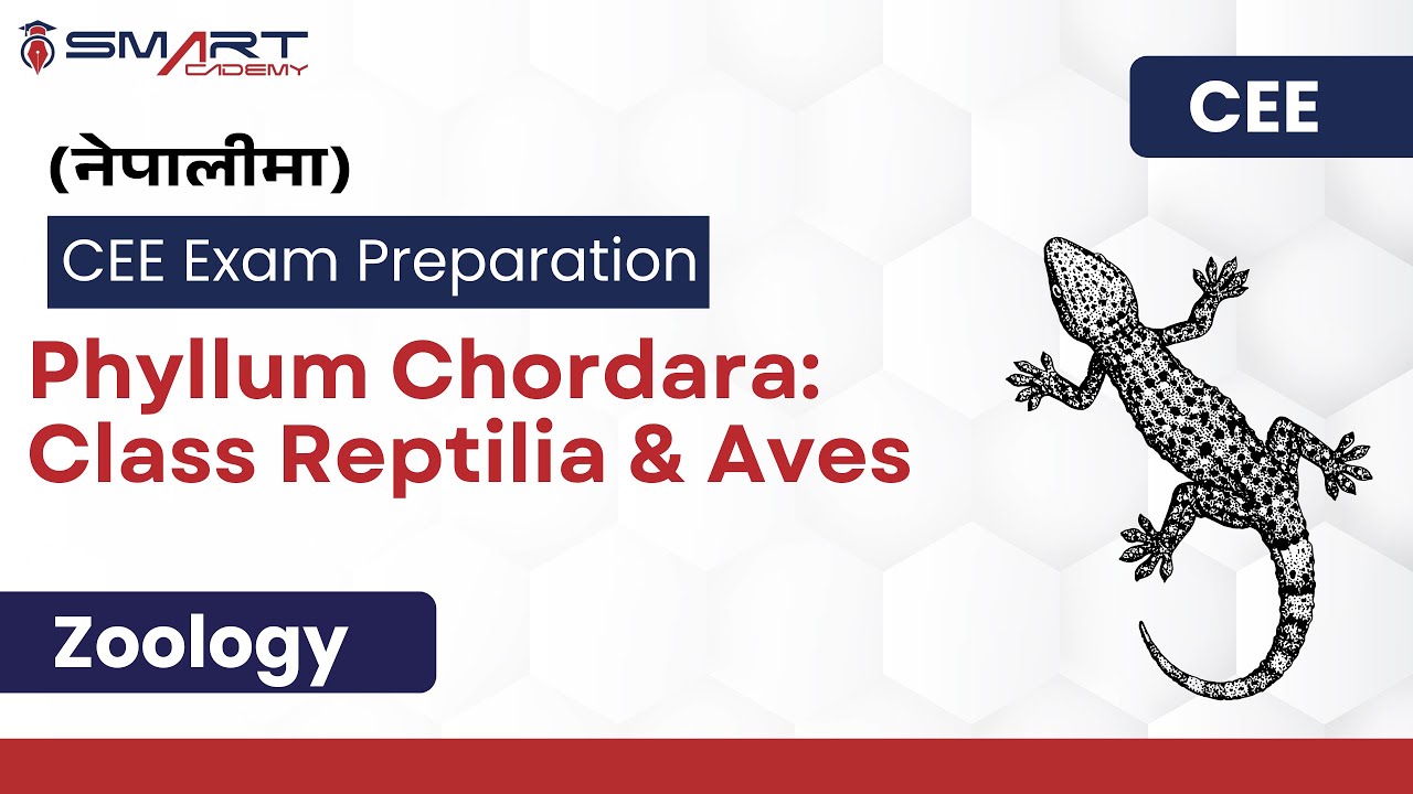 Phylum Chordata: Class reptilia and Aves | Zoology CEE | Common ...