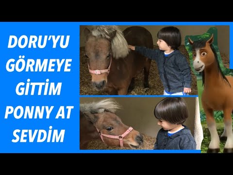 Doru’yu Görmeye Gittim | Gerçek Atları Sevdim | Yağız Ata Ponny At Sevdi