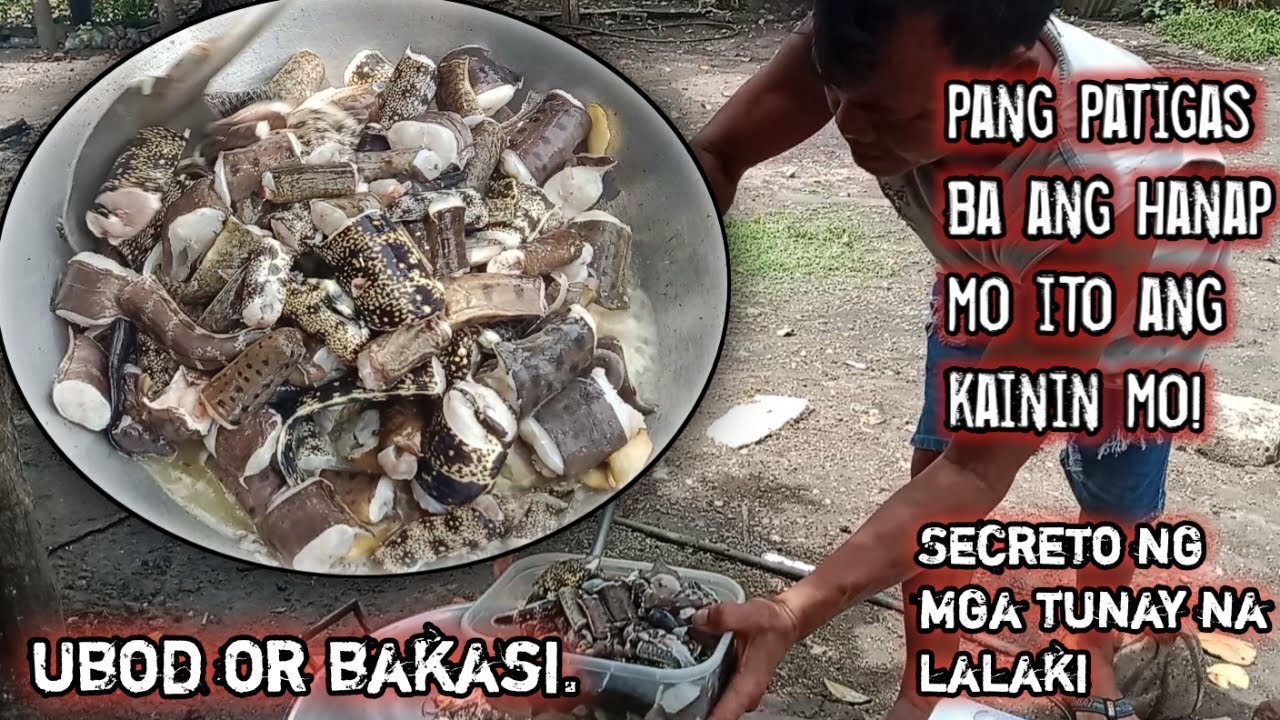 Cooking sea eel, ubod or Bakasi||TagBis TV. - YouTube