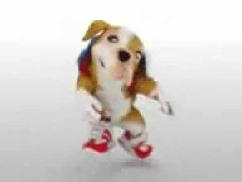 Chacarron low quality Dog for 10 hours