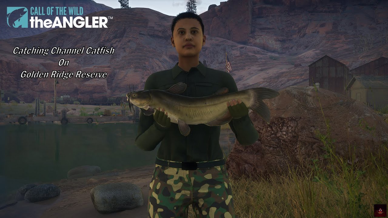 Call Of the Wild The Angler - Catching Channel Catfish On Golden Ridge ...