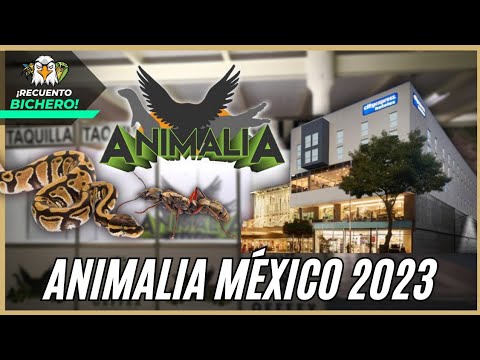 ANIMALIA 2023 TODO LO QUE NECESITAS SABER - YouTube