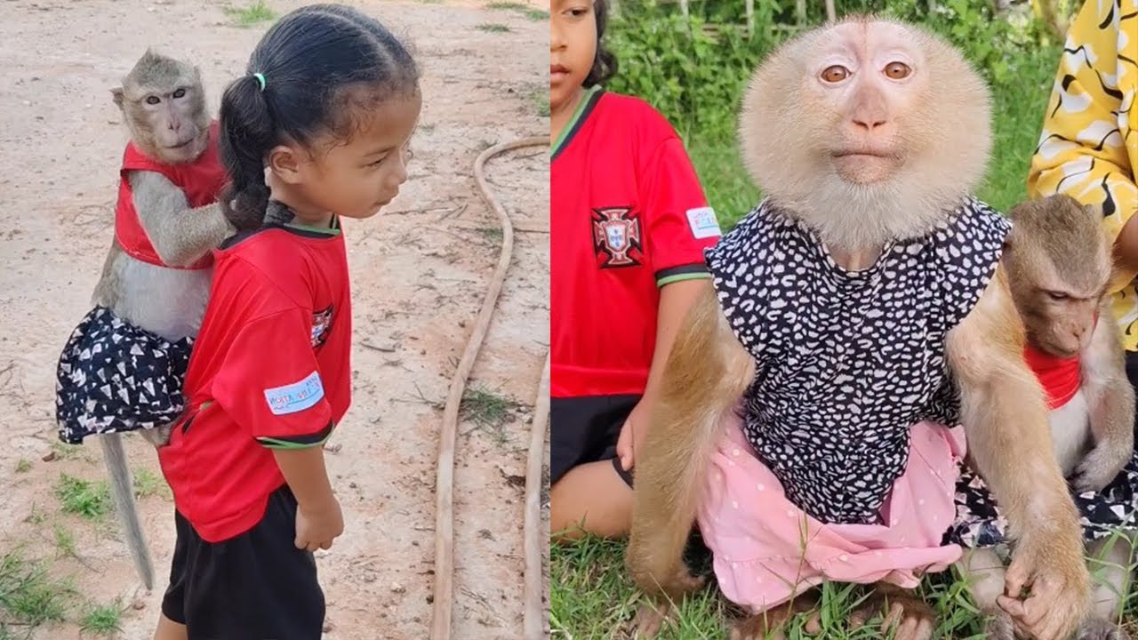 Shally Loves Riding To YaYa At Corn Farm - YouTube